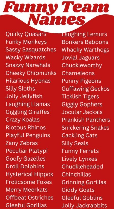 Fun Team Names: Hilarious and Creative Picks! - Biograph World