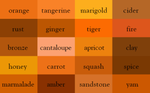 Orange Names: Stand Out with These Fiery and Juicy Picks - Biograph World